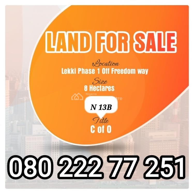 For Sale: 8 Hectares Of Newly Reclaimed Land In A Prime Location, Off ...