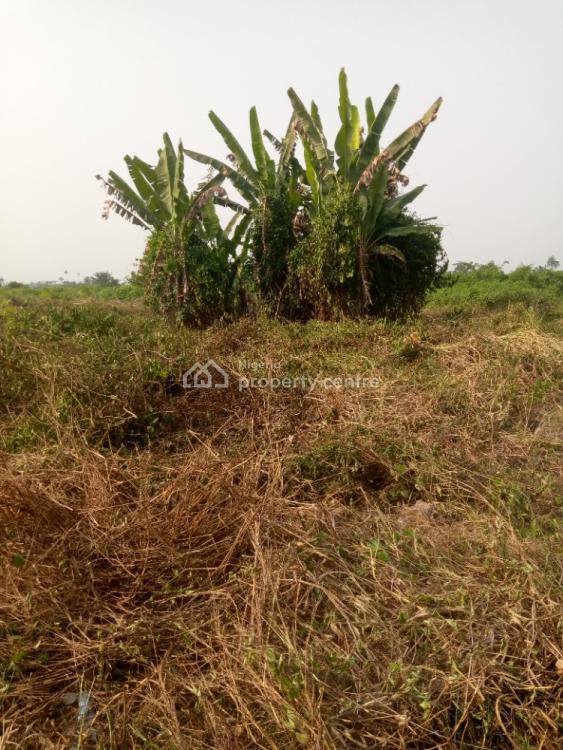 For Sale: 100 Feet By 100 Feet Plot Of Land, Obagie Community Off Sapele Road Off Airport Road ...