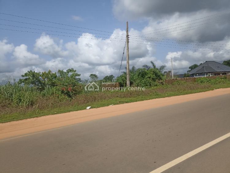For Sale: 100ft By 200ft Commercial Land With Excellent Topography, Along Ogheghe-obagie Express ...