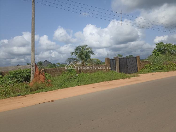 For Sale: 100ft By 200ft Commercial Land With Excellent Topography, Along Ogheghe-obagie Express ...
