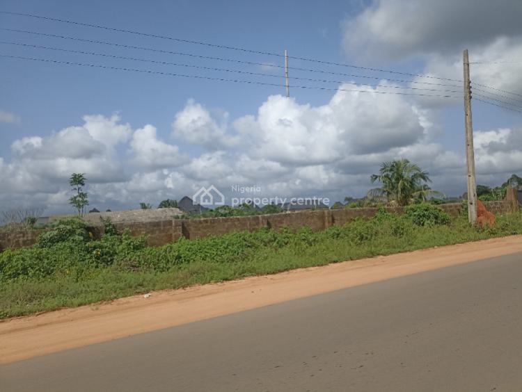 For Sale: 100ft By 200ft Commercial Land With Excellent Topography, Along Ogheghe-obagie Express ...