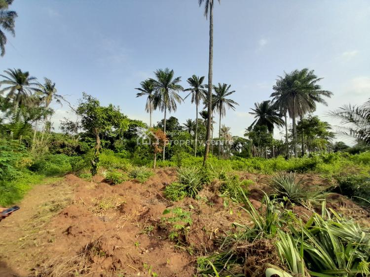For Sale: 7 Acres Of Land, Beside Swan Estate, Kobape, Abeokuta, Abeokuta South, Ogun (Ref: 1330284)