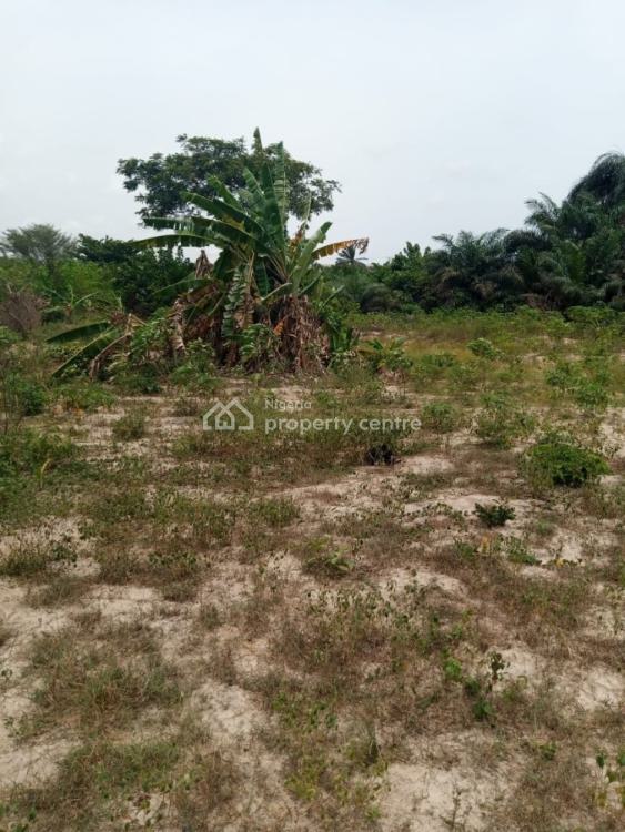 For Sale: Developers 20 Hectare Of Land, Airport Road By Itunu ...