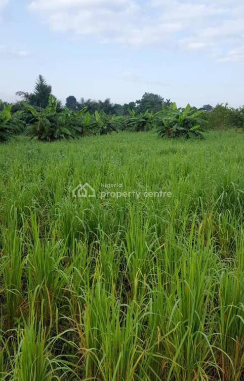 For Sale: 30 Hectares Of Farm, Kwali, Abuja | Nigeria Property Centre ...