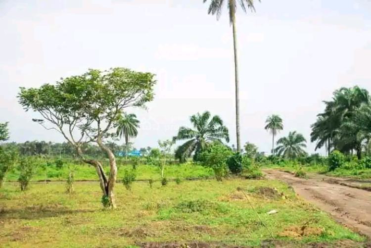 For Sale: Land, Ikot Obio Odongo, After Aka Road., Uyo, Akwa Ibom ...