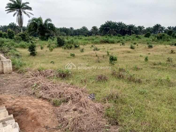 For Sale: Land, Ikot Obio Odongo, After Aka Road., Uyo, Akwa Ibom ...