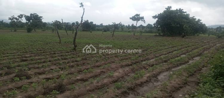 For Sale: Bulk Land At A Commercial Location, Ajegbenwa, Ibeju Lekki ...