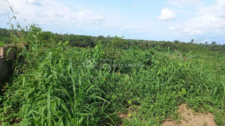 For Sale: Get The Most Affordable Land, Gold Estate, Iloti, Epe, Lagos ...