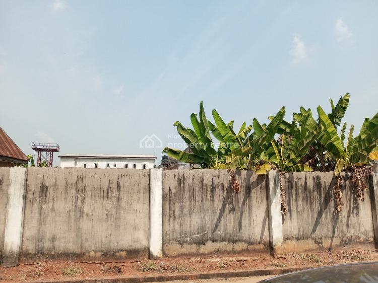 For Sale: Table Land Measuring 75 By 150 Feet, Off Dbs Road, Asaba ...