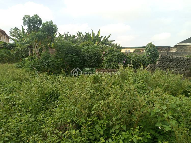 For Sale: Half Plot Of Land, Adeniyi, Meiran, Agege, Lagos | Nigeria ...