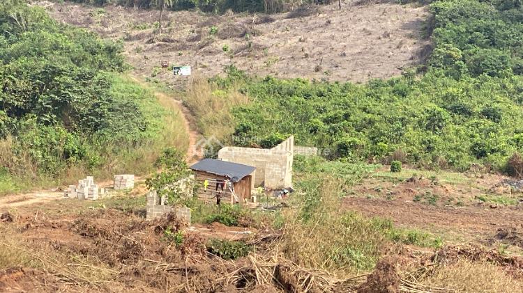 For Sale: Plots Of Lands, ( 5 Minutes To Free Trade Zone), Akodo Ise ...