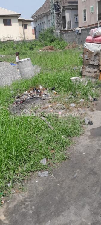 For Sale: Plots Of Estate Land In A Prime Location, Coral City, Igboye ...