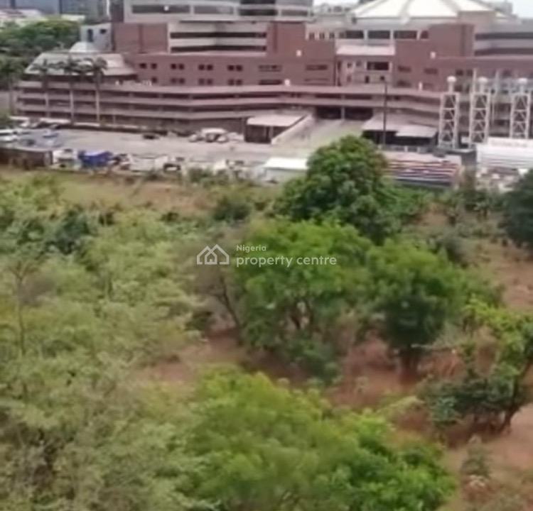 For Sale: Hectares Of Land, Behind Nnpc Headquarters, Central Business ...