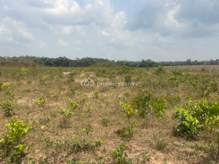 For Sale: Best Plot Of Land For Investment With A Good Title Document ...