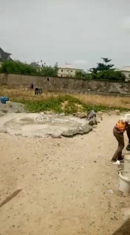 For Sale: Perfect & Ready To Build 1000sqm Dry Land, Banana Island, Ikoyi, Lagos (Ref: 1659518)