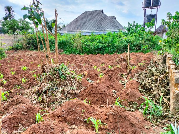 For Sale: 1 Full Plot Of Land With A Dwarf Fence Located In A Nice ...