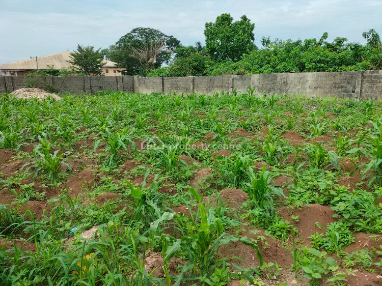 For Sale: 1 Plot Of Land Fenced With Gate In A Fully Built Up ...