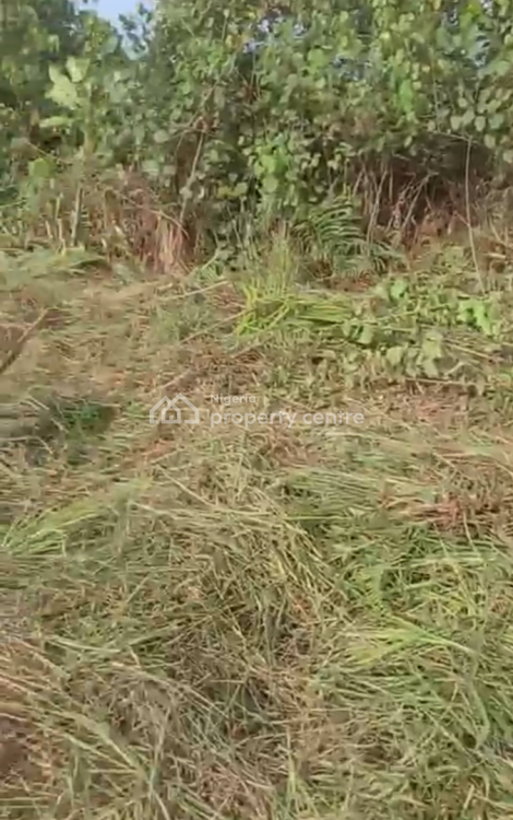 Joint Venture: Waterfront 100,853sqm (25 Acres) Of Bareland With ...