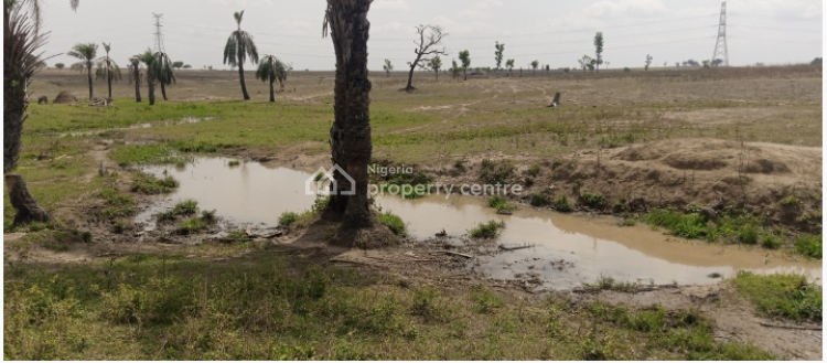 For Sale: 5 Hectares Farm Land, Kwali, Abuja | Nigeria Property Centre ...