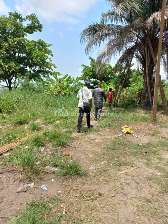 For Sale: Mix Use Bulk Land, Opposite The Proposed Lekki Airport, Ibeju ...