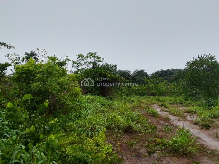 For Sale: 500 Square Meters Land, Ambode Road Temu, Epe, Lagos ...