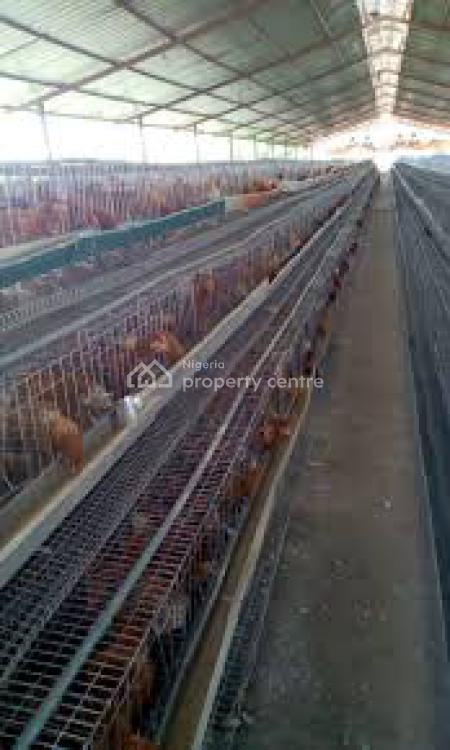 For Sale: Functional 100,000 Installed Capacity Poultry Farm On 39 ...