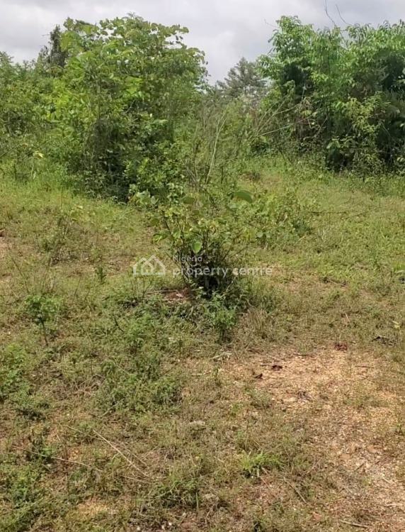 For Sale: 2 Acres Of Land Along A Major Road, Elebuibon Street, Long ...