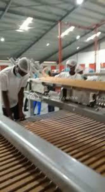 For Sale: The Biggest Biscuits Factory In Nigeria, Agbara-Igbesa, Lagos ...