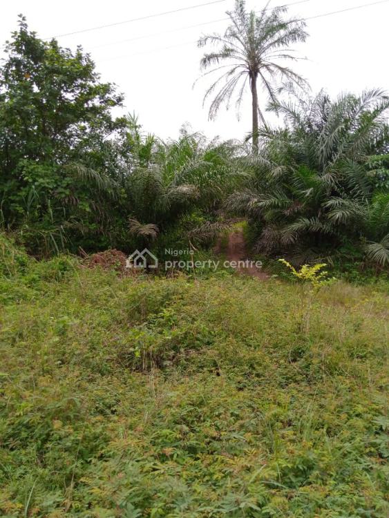 For Sale: 600 Plot ( 60 Hectares ) Of Land, Koko, Warri, Delta ...