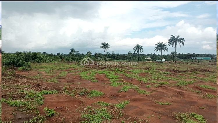 For Sale: Luxurious Property With C Of O, Obodo Ogba Quarters, Okpanam ...