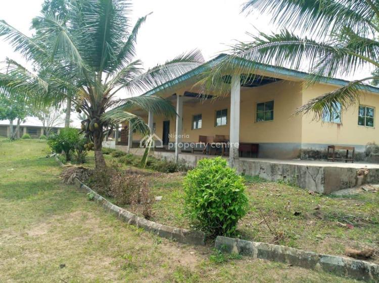 For Sale: A Polytechnic Facility In A Serene Environments, Ore, Odigbo ...