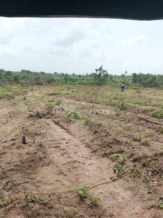 For Sale: Southern Crest, Omi Adio 18mins From Challenge Bus Stop ...