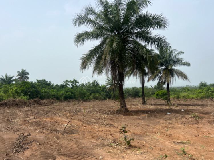 For Sale: Most Affordable Land Best For Land Banking Investment, Ketu ...