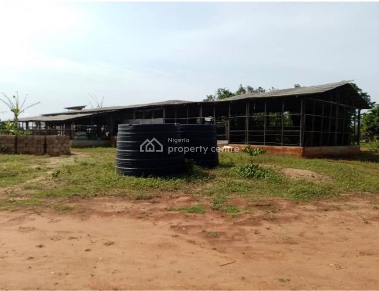 For Sale: Poultry Farm With A Capacity Of 18,000 Birds, Owode, Obafemi ...