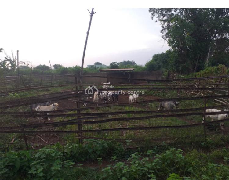For Sale: Poultry Farm With A Capacity Of 18,000 Birds, Owode, Obafemi Owode, Ogun (Ref: 2057020)
