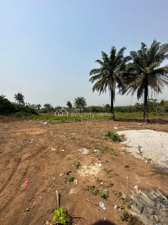 For Sale: 100% Dry Land With High Return On Investment, Anora City ...