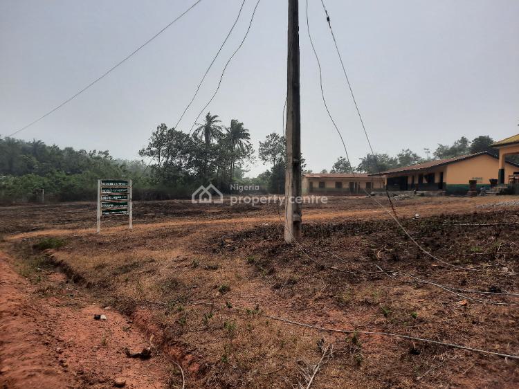 For Sale: 700 Acres Of Dry Land With C Of O, Treasure Island, Ikanna ...