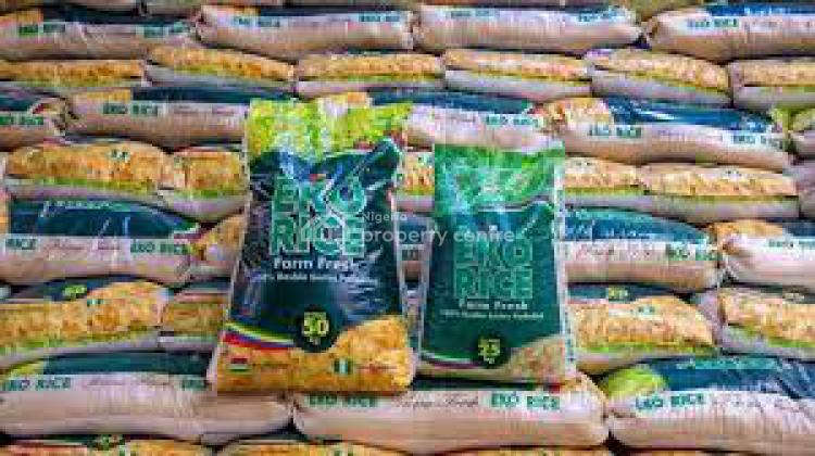 For Sale: Rice Mill, 104101, Imota, Ikorodu, Lagos | Nigeria Property ...