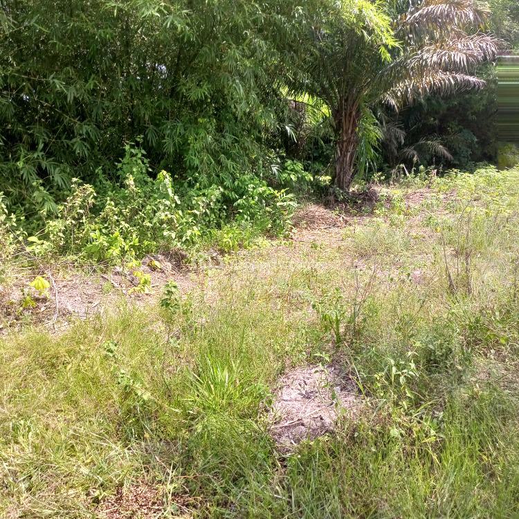For Sale: Fenced Land, Ibusa, Asaba, Delta | Nigeria Property Centre ...