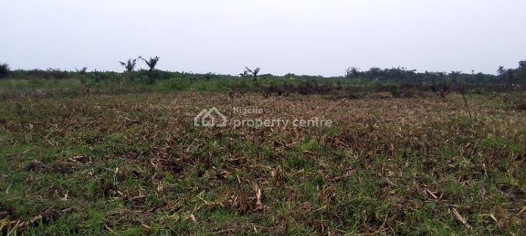For Sale: Mixed Use Plots Of Land, Royal Crest Garden, Akodo Ise, Ibeju ...