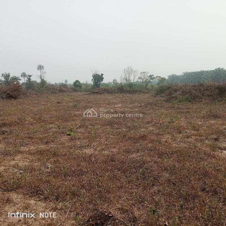 For Sale: Plot Suitable For Residence And Governor Title, Ijaiye Along ...