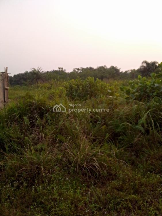 For Sale: Bare Land Measuring 24,400 Square Meters ( 2 Hectares ...