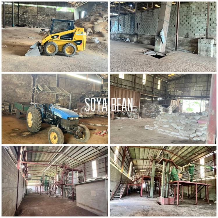 For Sale: Vegetable Oil Factory And Palm Kernel Plantation, Sango Ota ...