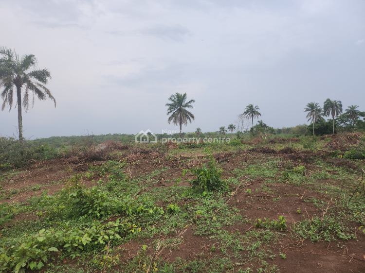 For Sale: Oba Residence: Land, Iseyin Moniya, Ibadan, Oyo | Nigeria ...