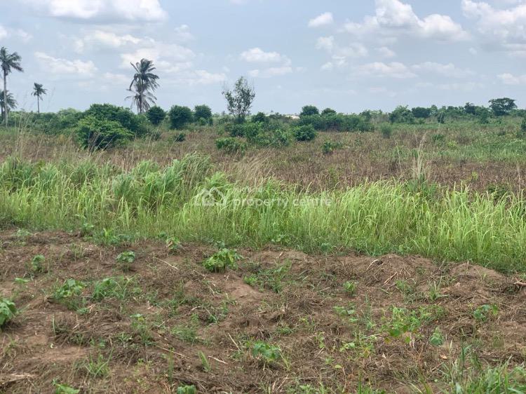 For Sale: 100% Dry Land With A C Of O, Abeokuta South, Ogun | Nigeria Property Centre (Ref: 2209439)