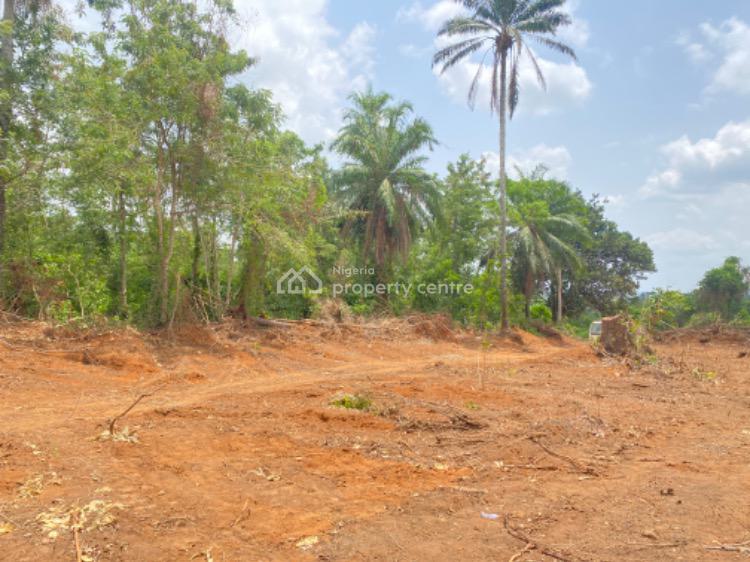 For Sale: Acre Of Land With An Free Plot Offer, Abeokuta South, Ogun | Nigeria Property Centre ...