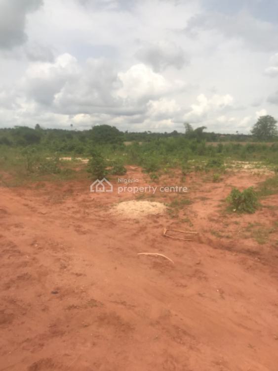 For Sale: 50/100 Land And Acres In City Of Light Estate, Issele Azagba ...
