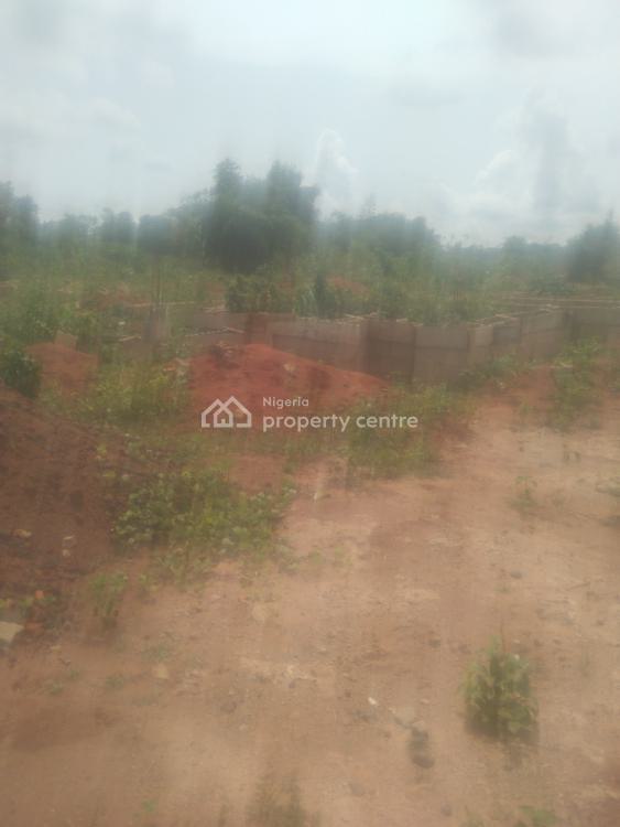 For Sale: Service Plot, Izzanfbu Lga 135 Bus Stop Along Enugu Express ...