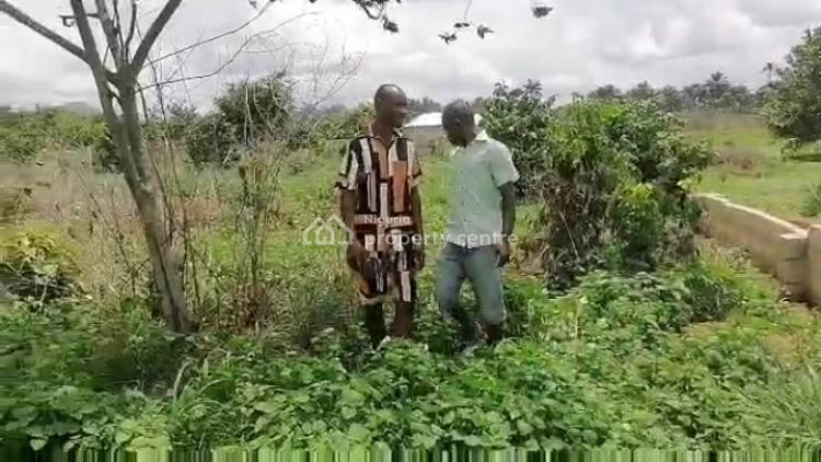 For Sale: Most Affordable Buy And Build Land, Nsokpo, Ogbaku, Mbaitoli ...