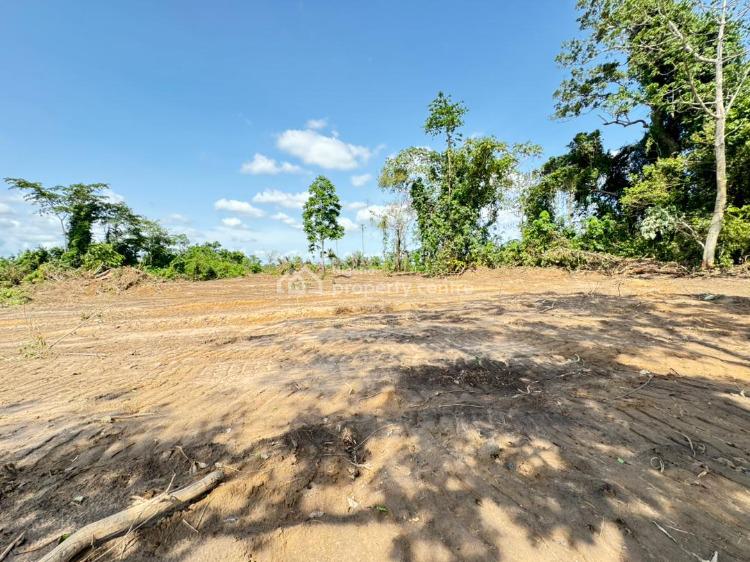 For Sale: Regal Ville Estate: Massive Return On Investment And Appreciation, Igbonla Community ...